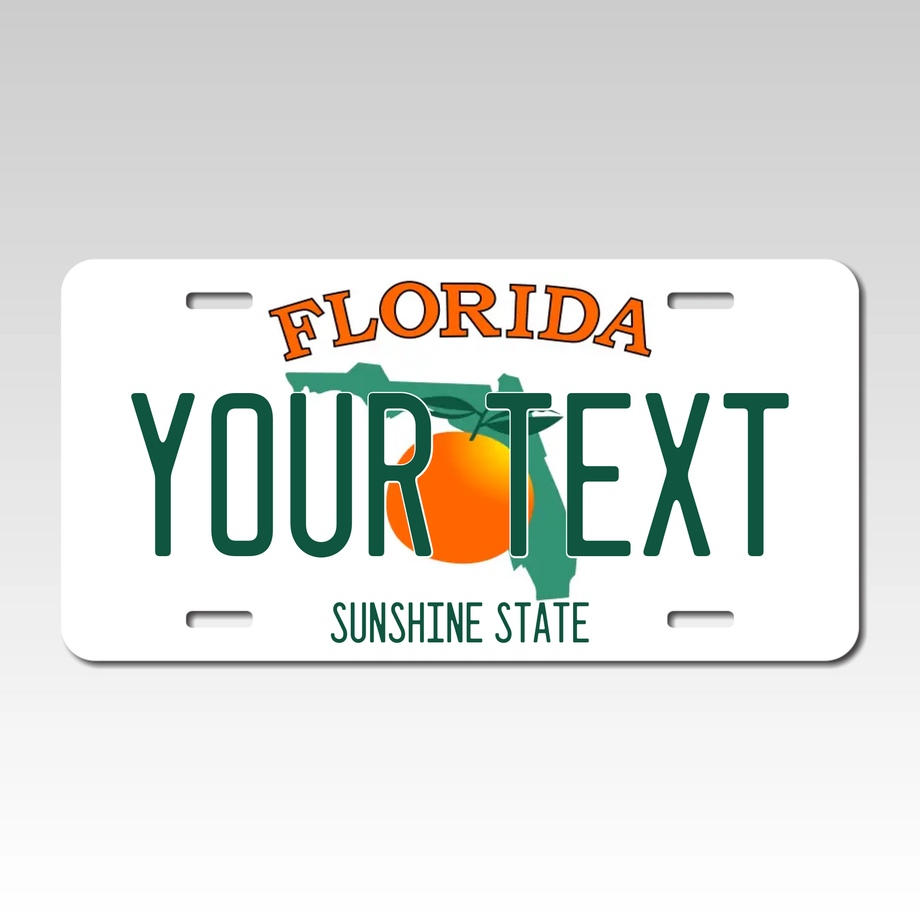 Personalized Florida License Plates – Custom Plate Pros