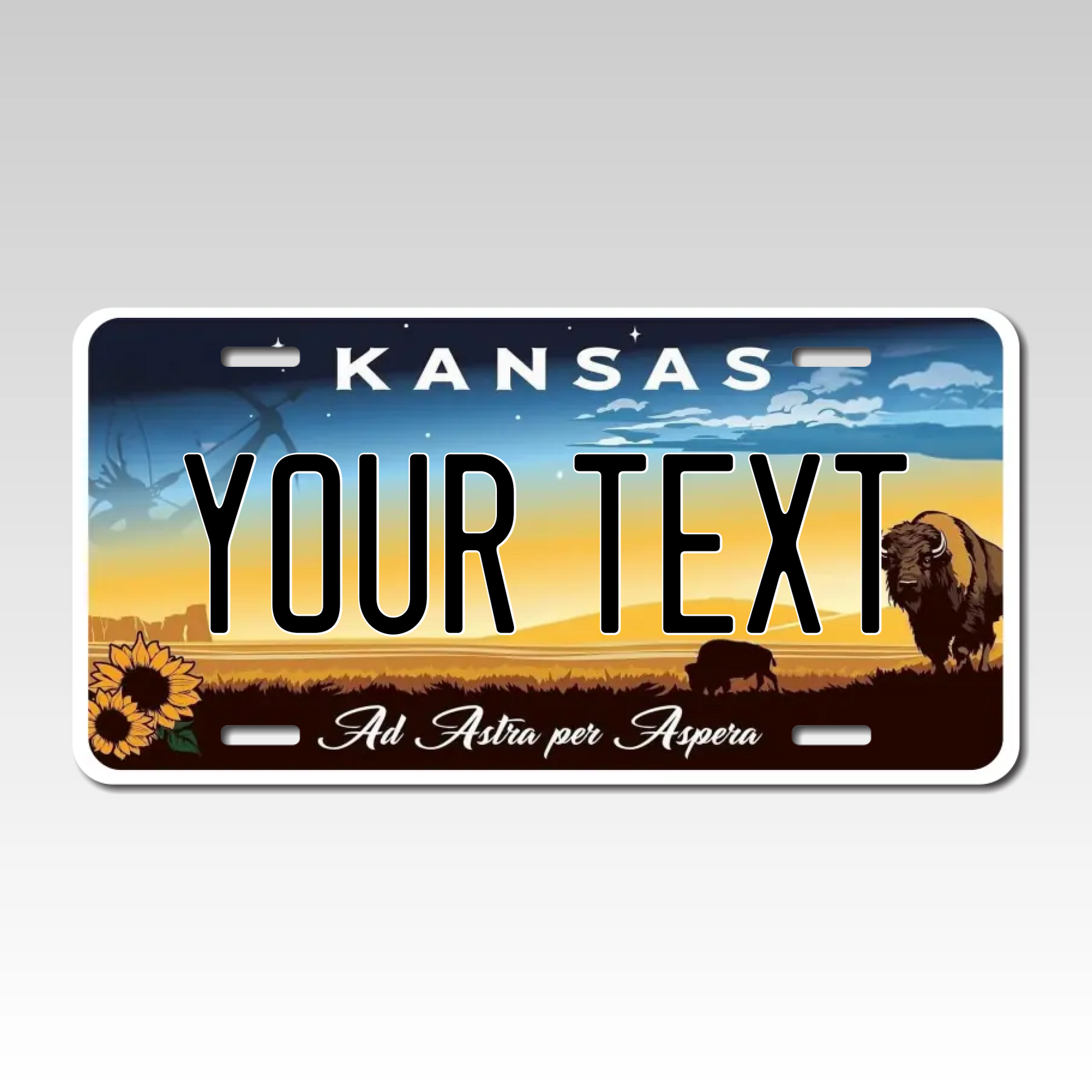 Personalized Kansas License Plates – Custom Plate Pros