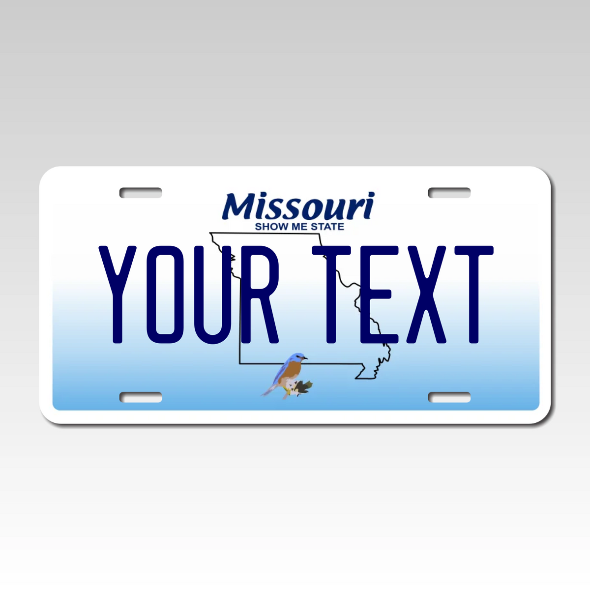 Personalized Missouri License Plates – Custom Plate Pros